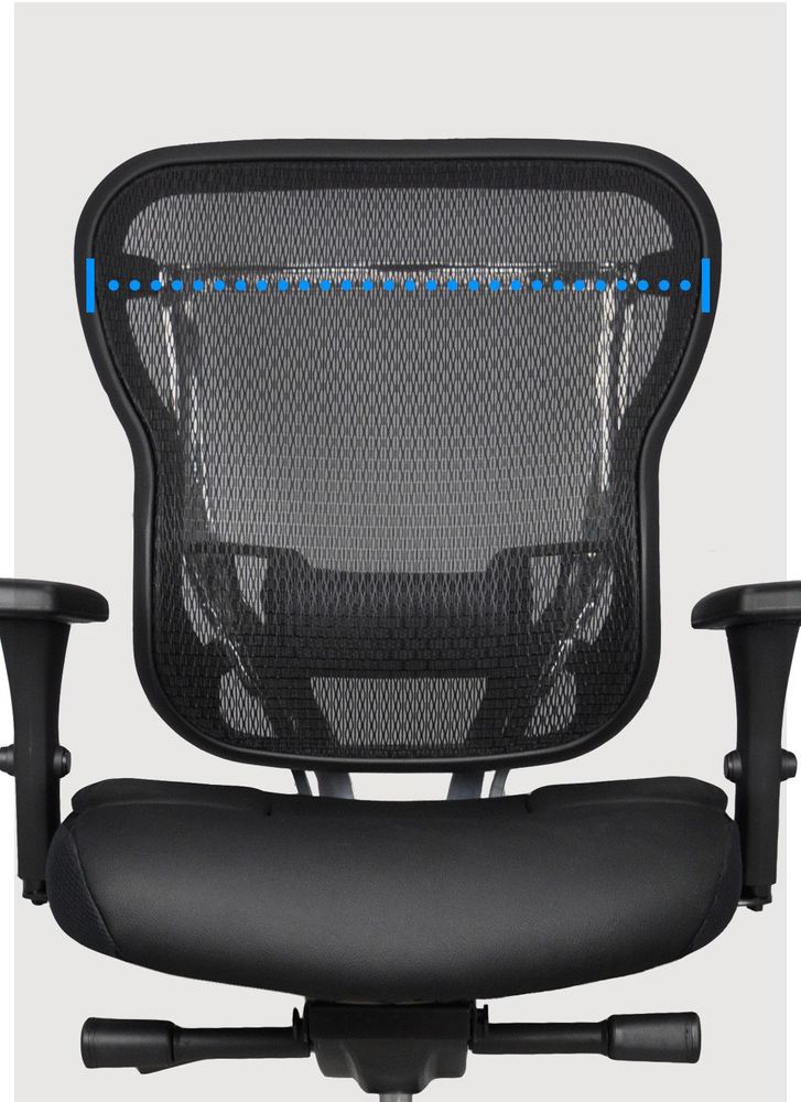 BTOD Akir Mesh Back Ergonomic Chair with Leather Seat