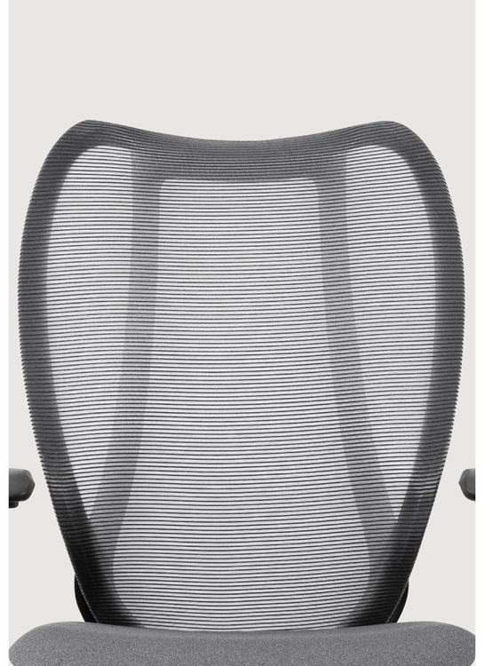 BTOD Duolc Mesh Back Ergonomic Chair