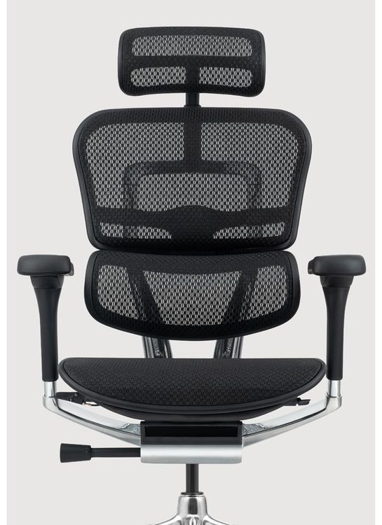 Ergohuman GEN2 All Mesh Ergonomic Chair with Headrest