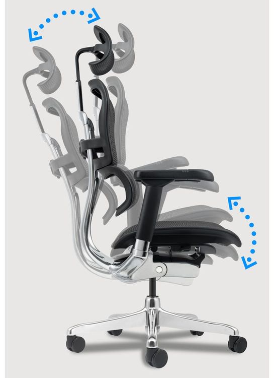 Ergohuman GEN2 All Mesh Ergonomic Chair with Headrest