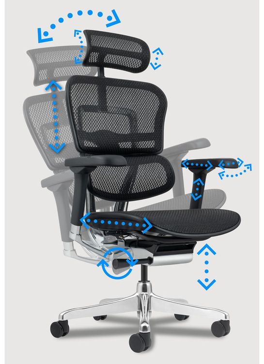Ergohuman GEN2 All Mesh Ergonomic Chair with Headrest