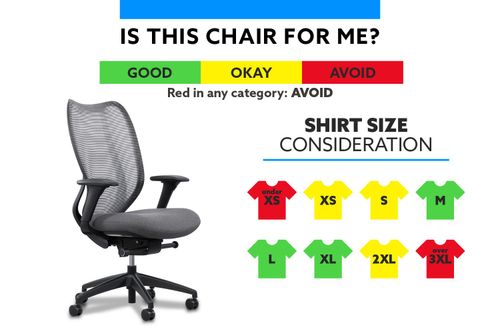 BTOD Duolc Mesh Back Ergonomic Chair